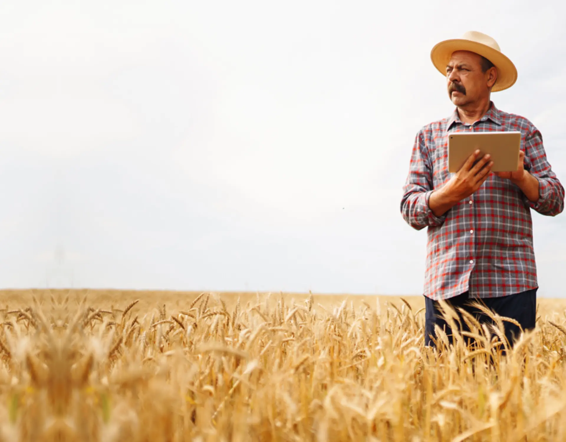 How Retailers Can Help Farmers Benefit from Agricultural Biologicals